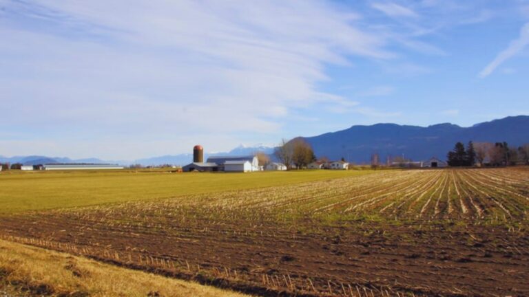 How Much Is a Section of Land? Full Guide - HousesLaw